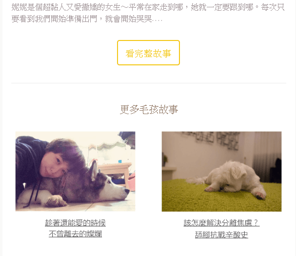 02-pet-cam – dcplus數位行銷實戰家