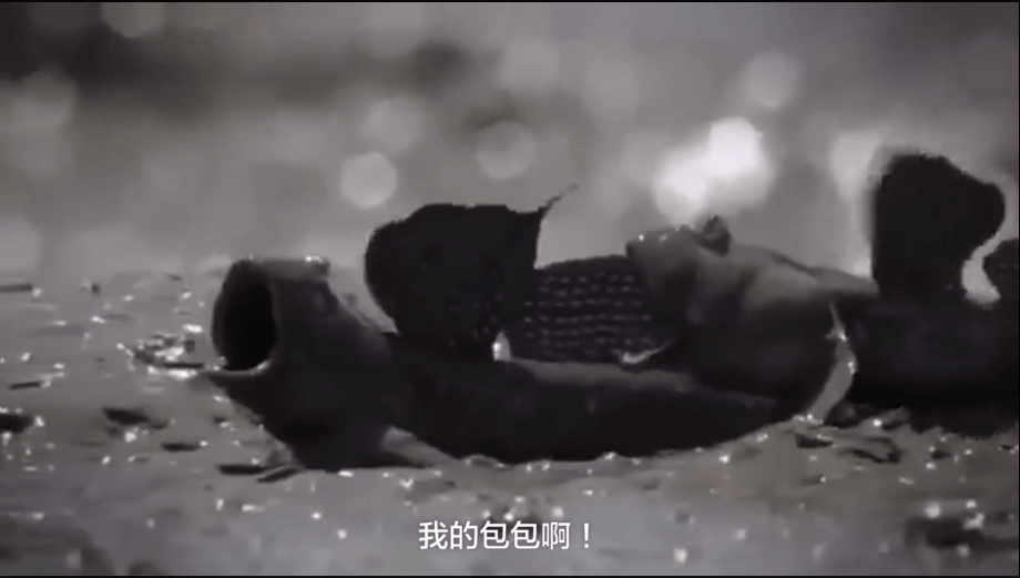 03-1 – dcplus數位行銷實戰家