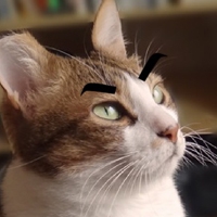 07 – dcplus數位行銷實戰家