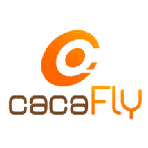 CACAFLY – dcplus數位行銷實戰家