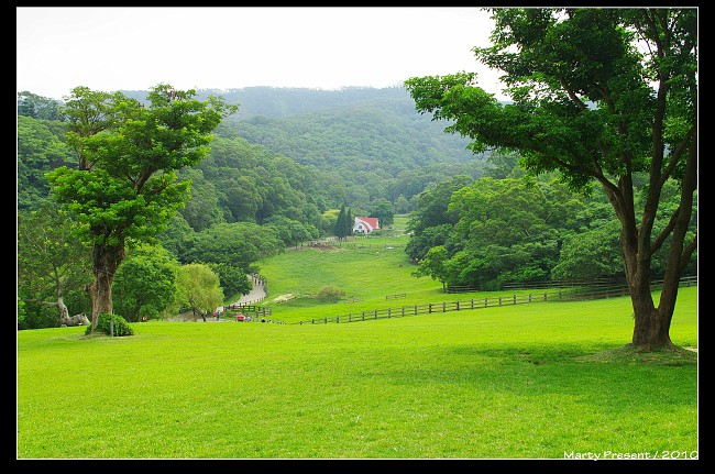 FOTO8737-vi – dcplus數位行銷實戰家