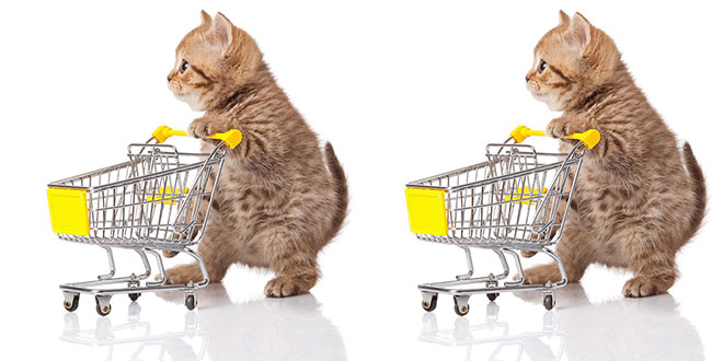 optimize-abandoned-cart-cover – dcplus數位行銷實戰家