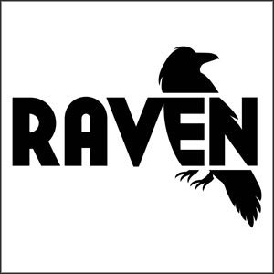 raven – dcplus數位行銷實戰家